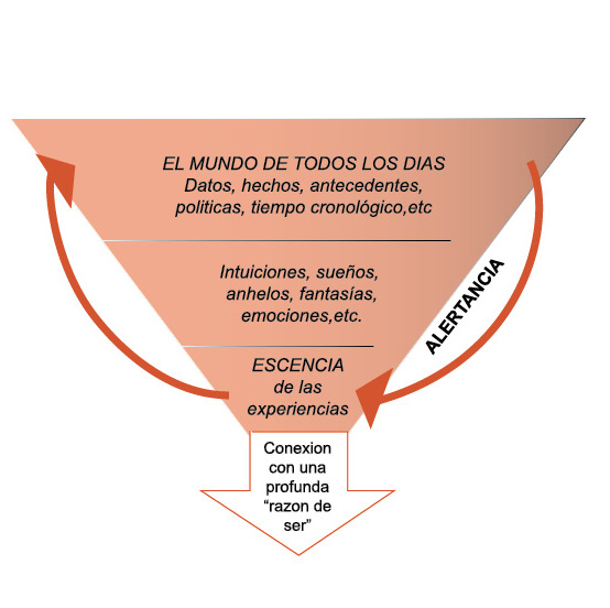 ProcessWork Latinoamérica – Herramienta de proyectos en persona